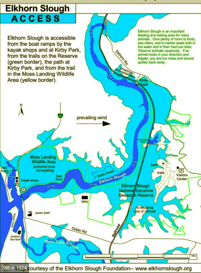 Elkhorn Slough Part 1 | KSQD.org