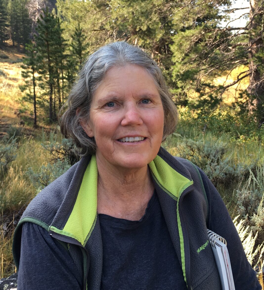 Ziggy Rendler-Bregman – Self-Publishing Poetry and Visual Art | KSQD.org