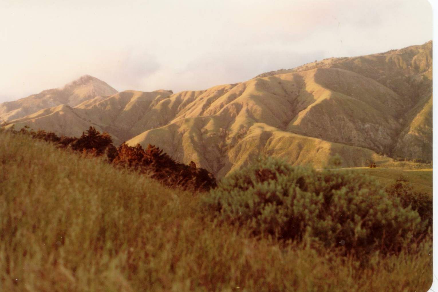 Big Sur Faces Development Pressures | KSQD.org